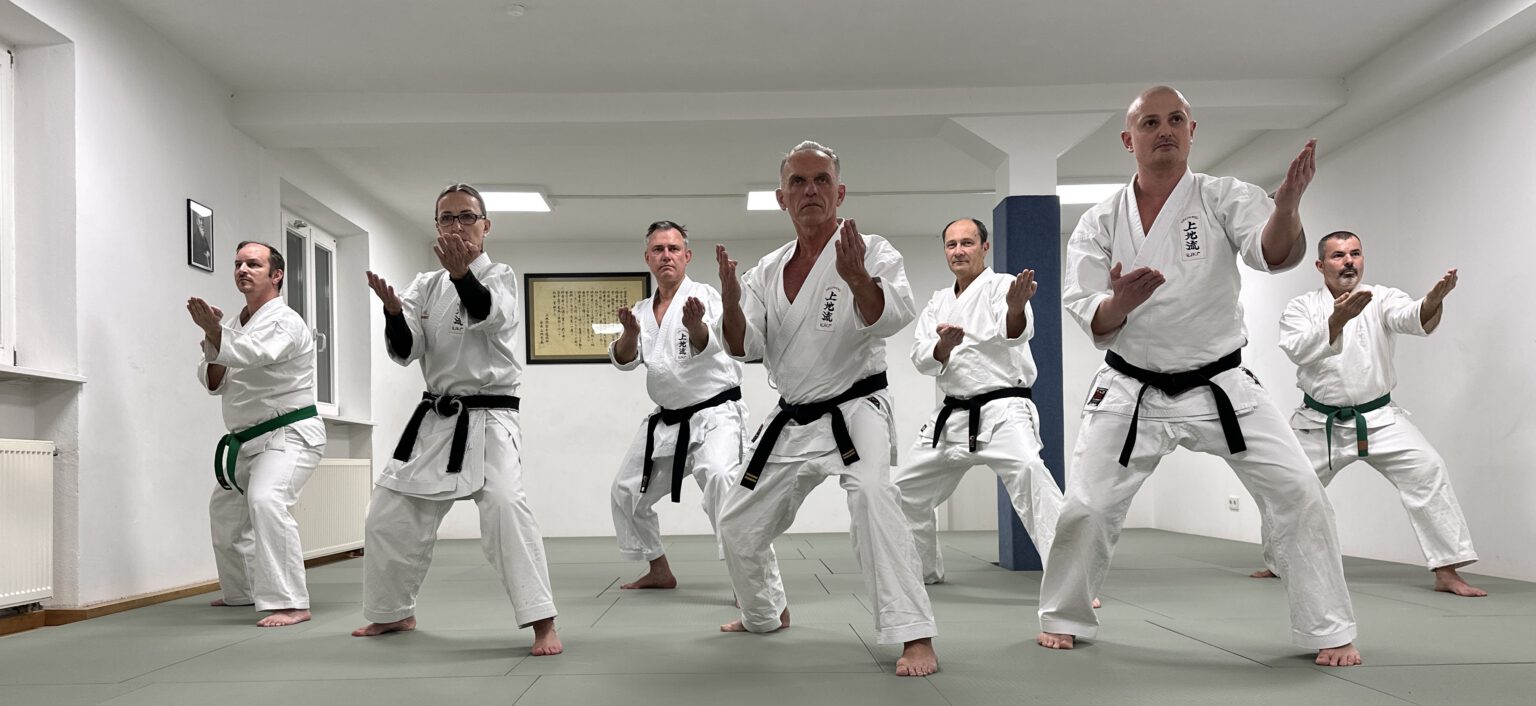 Training - Uechi-Ryu Karate-Do Regensburg